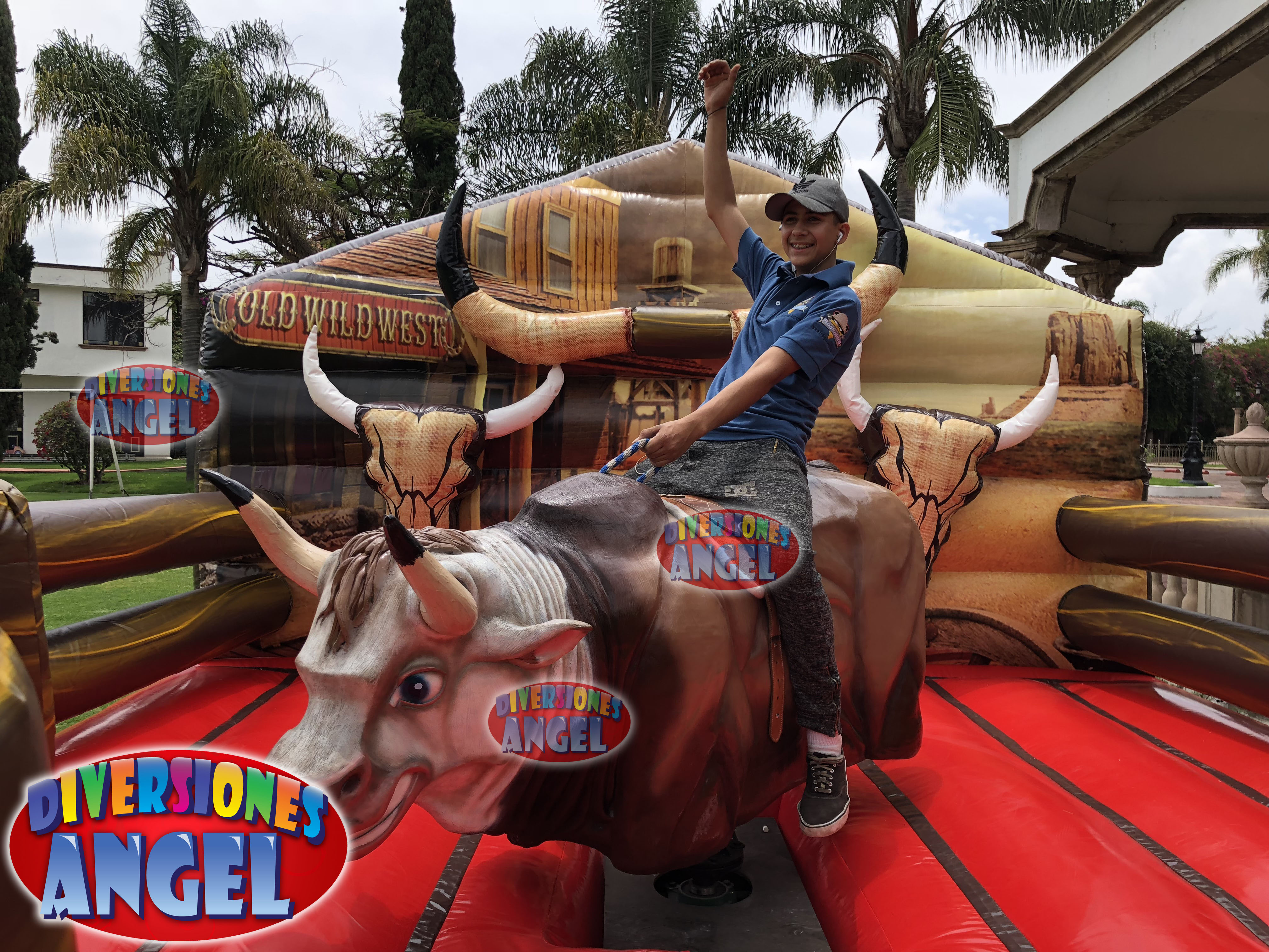 Venta de Toros Mecanicos Crazy Bull VIP